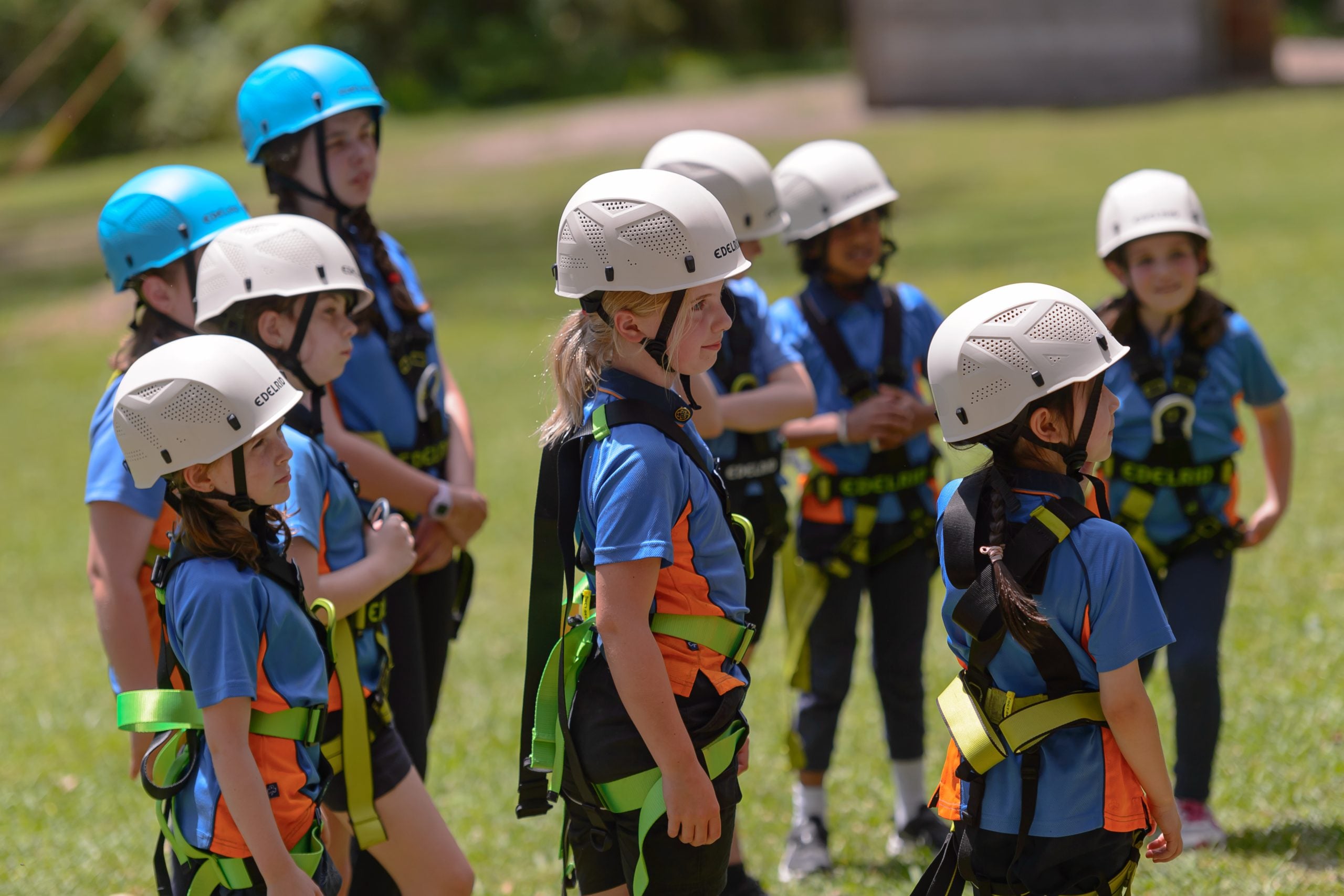 What's Happening — Girl Guides Victoria
