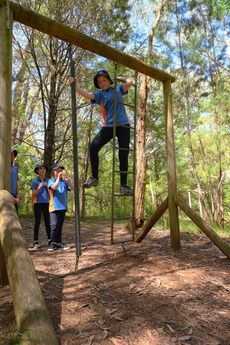 Join Girl Guides — Girl Guides Victoria